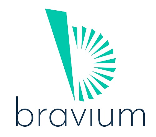 Bravium Consulting Careers - ServiceNow Application Developer
