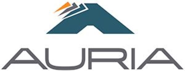 Auria Solutions Careers - Production Superintendent