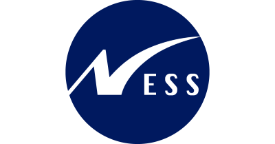 Ness Digital Engineering Careers - Financial Services Sales Leader