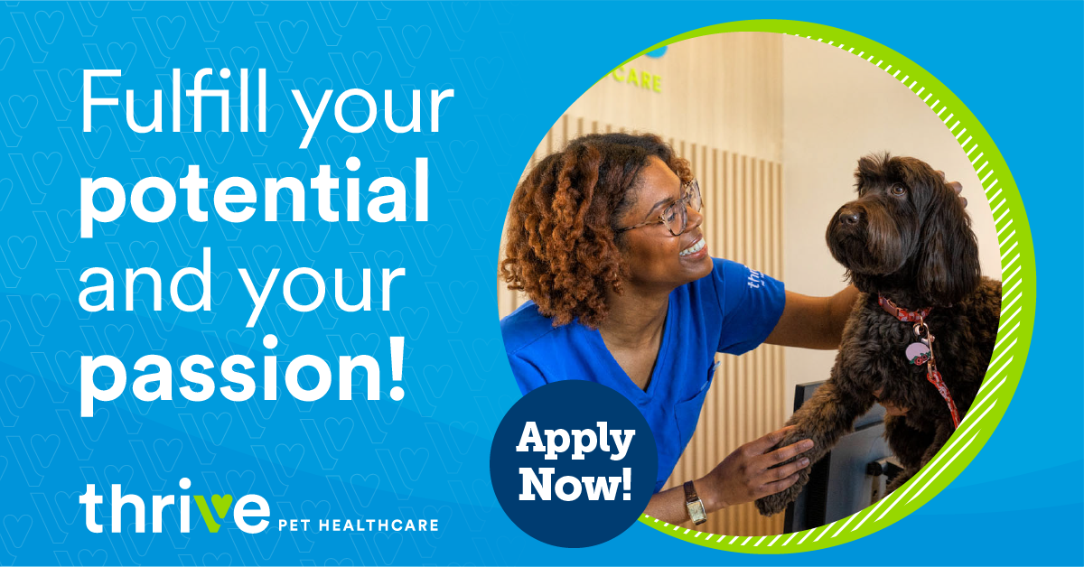 Thrive Pet Healthcare Careers - Veterinary Surgeon - Veterinary ...