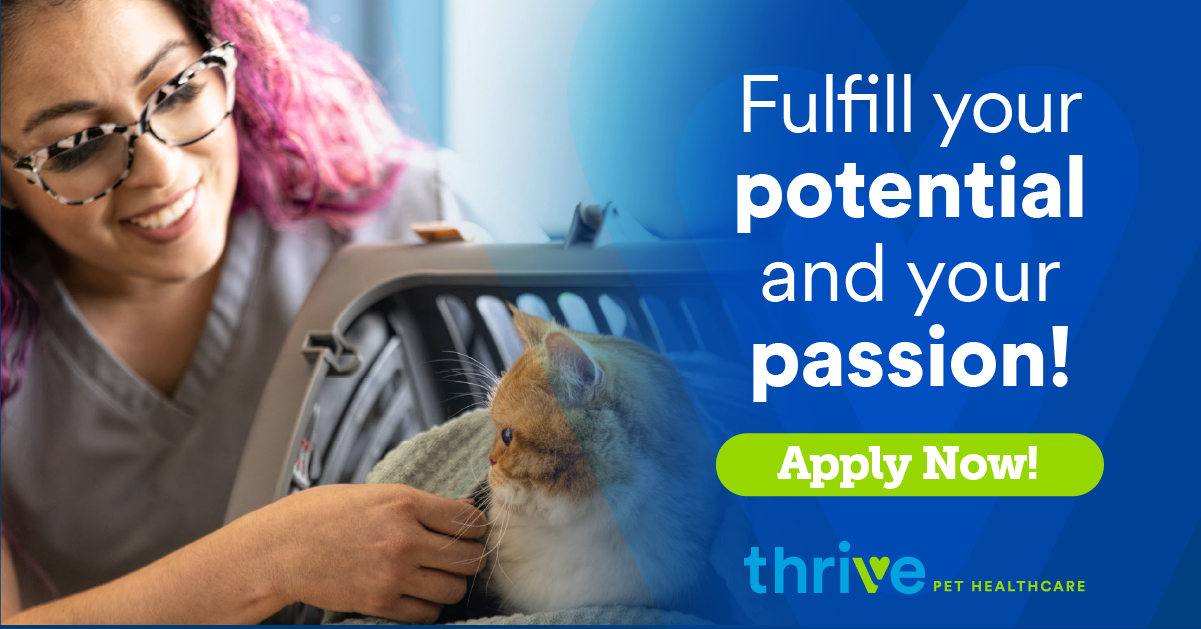 Thrive Pet Healthcare Careers Veterinary Client Service Representative Thrive Pet Healthcare Careers Veterinary Client Service Representative