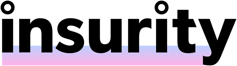 Insurity Careers - Strategic Program Executive