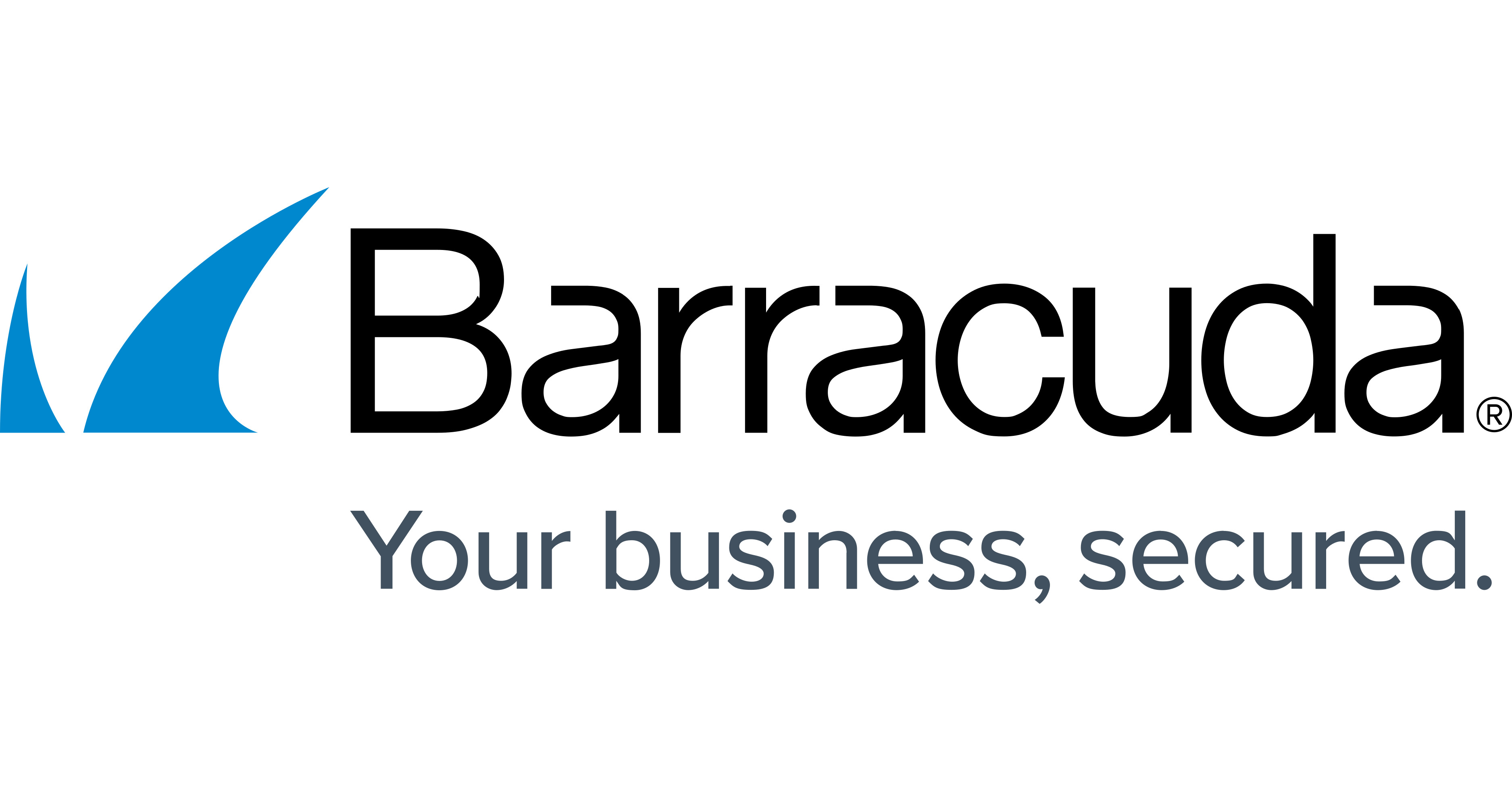 Barracuda Networks Inc. Careers - Director, Product Management - Data ...